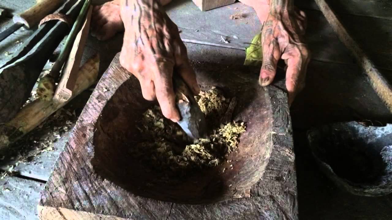 Mentawai Tribe: Tattooed members sharpen teeth and display animal ...