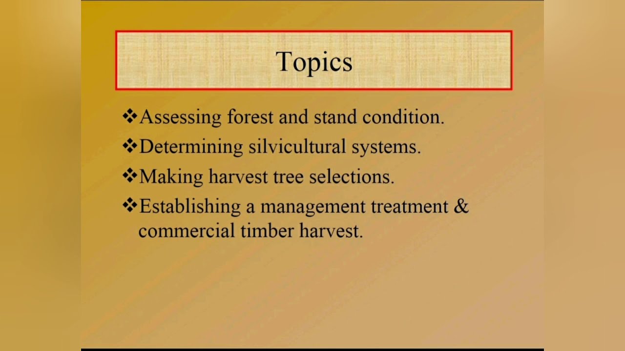 PRESENTATION BASED ON  FORESTRY BY USING POWERPOINT PRESENTATION.