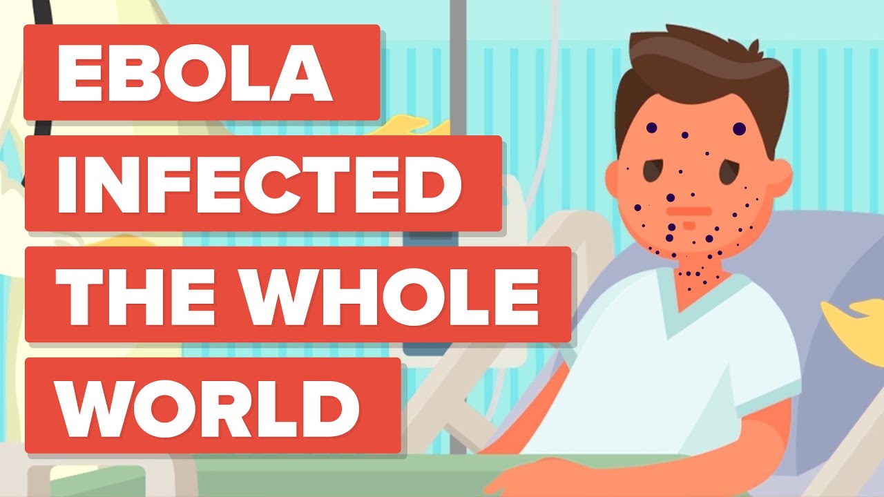 What If Ebola Infected The Whole World?