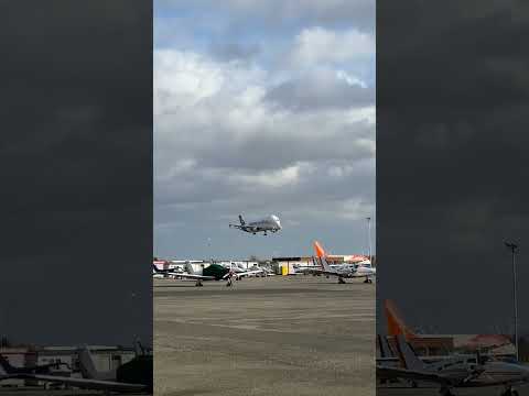 Rare appearance of a Beluga landing at Liverpool John Lennon Airport #perfectlanding #plane