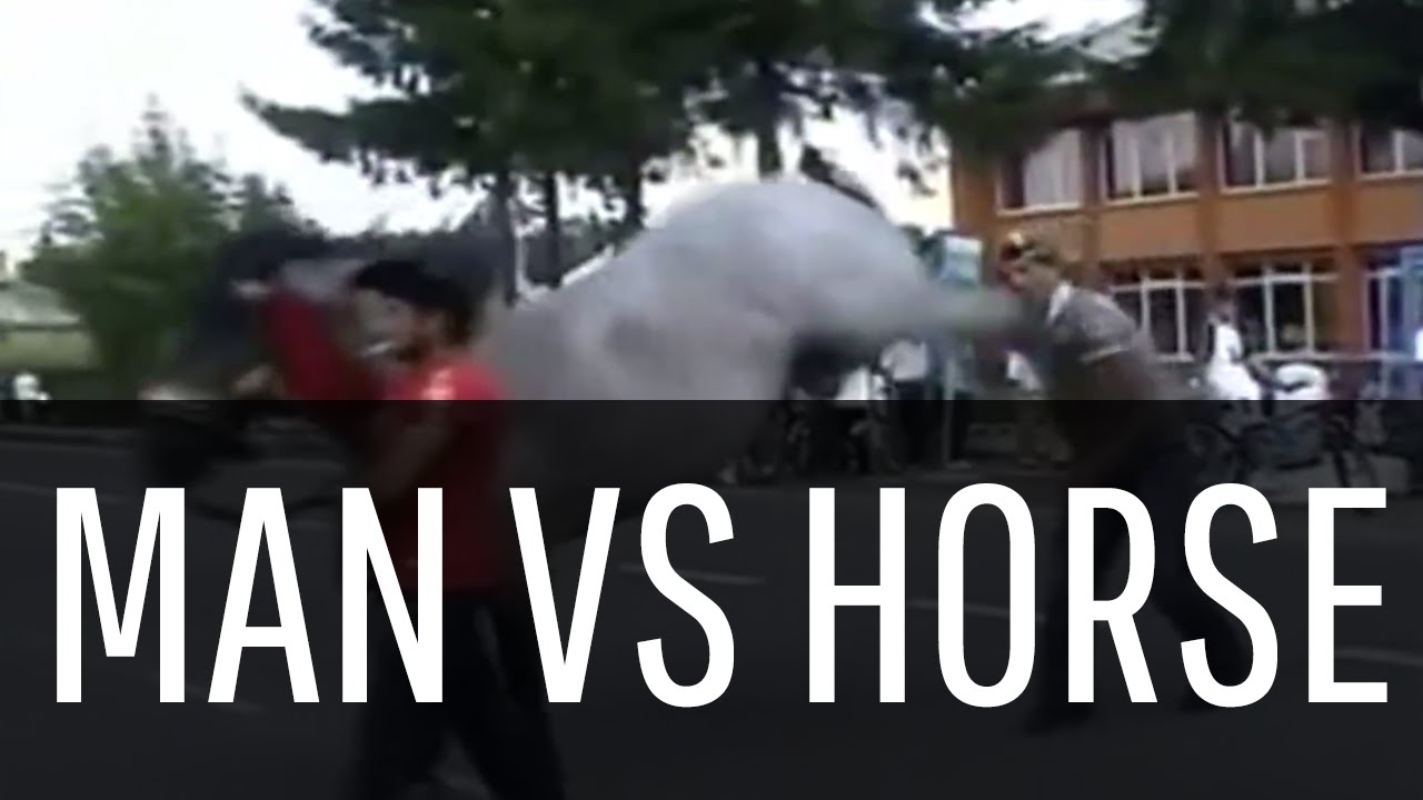 Guy slaps horse on the ass gets kicked in the face - InstaJustice.com