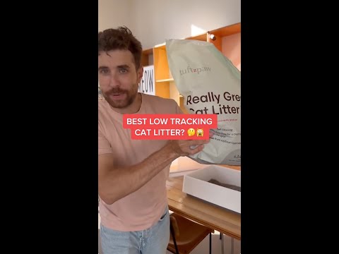 Best low tracking cat litter (& why!)