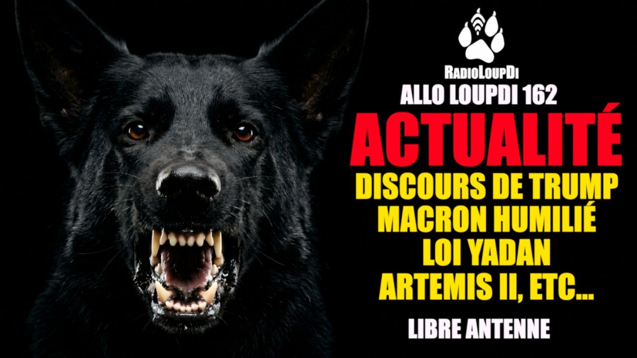AlloLoupDi 162 - Actualité - (Libre Antenne)*