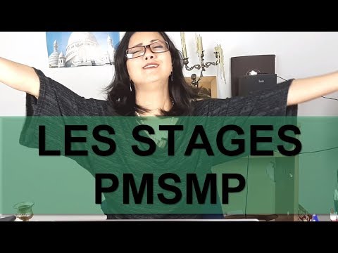 C'EST QUOI L'IMMERSION PROFESSIONNELLE | vie-professionnelle.fr