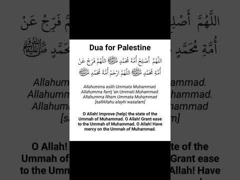 Ameen Ya Rab❤️🤲 write Ameen in comment ❤️ #arabic #viralvideo #palestine