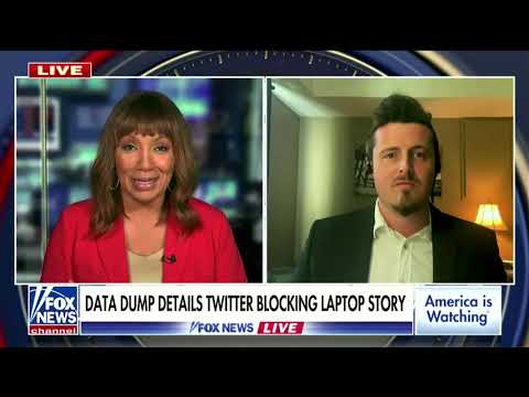 Fox News host battles 'expert' who warns of Twitter brain chips