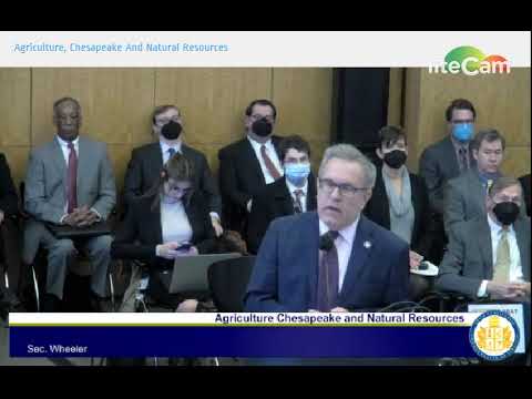 Video: VA Del. Wendy Gooditis on Andrew Wheeler’s “Parallel Universe ...