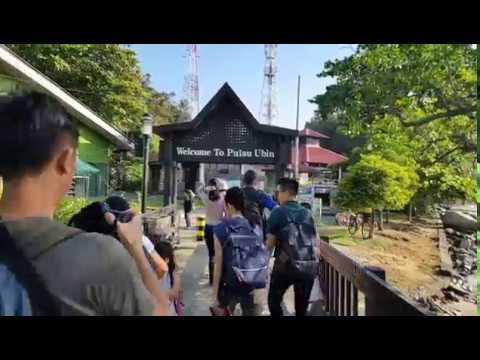NParks, ISEAS-Yusof Ishak Institute embark on first in-depth archaeological survey of Pulau Ubin