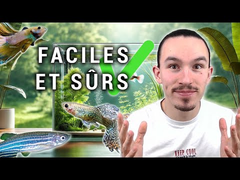LES 7 MEILLEURS POISSONS pour DÉBUTANTS en Aquarium d'eau douce
