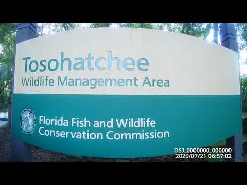 Outside the Tosohatchee Wildlife Management Area