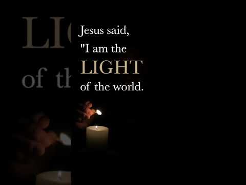 Read the Bible John 8:12 ✝️ 📖