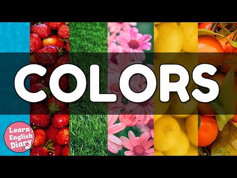 Learning Colors for Toddlers with Pictures | Colors of Summer for Kids