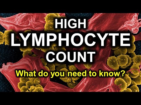 Lymphocytes high in blood test