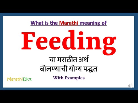 Feeding Meaning in Marathi | Feeding म्हणजे काय | Feeding in Marathi Dictionary |