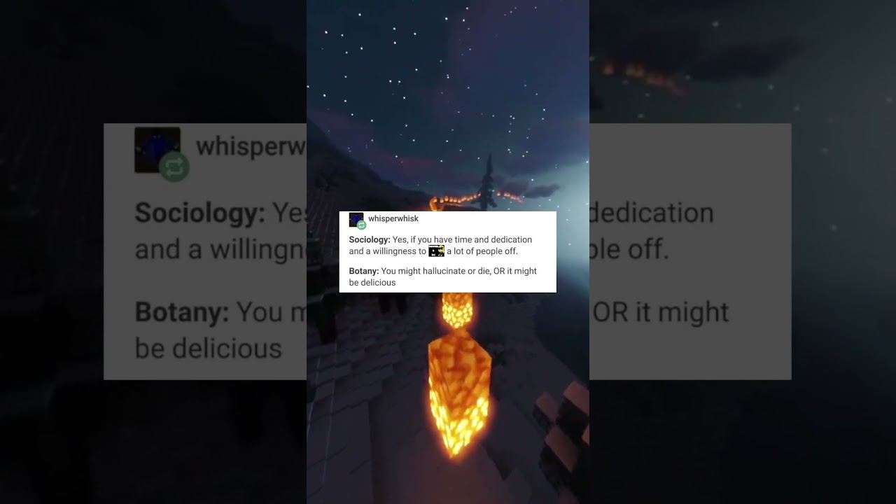 Funniest Tumblr Posts