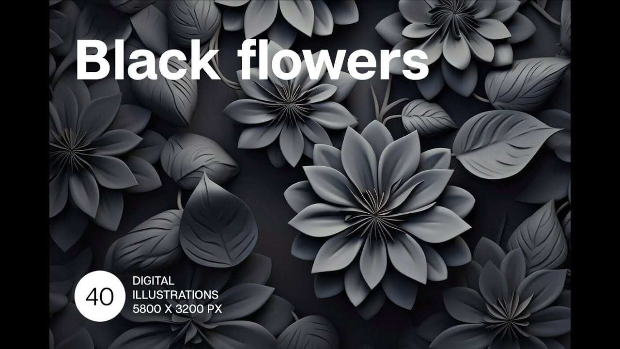 Download Balck Flowers Stock Graphics