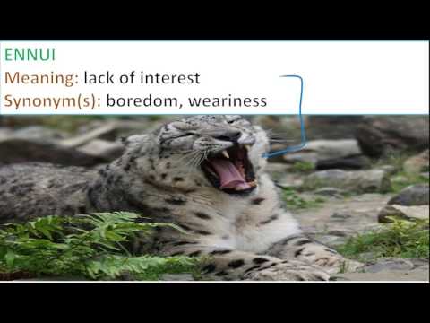 Synonyms (Alphabet-E) for Competitive Examinations by Reema Behl (SSC CGL UPSC IBPS CAT GRE)