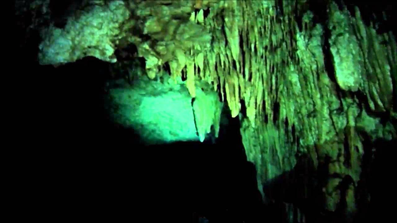 Xtreme Gap Year Diving Cenote Dreamgate