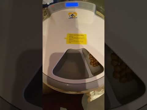 Casfuy 5-meals Automatic Cat Feeder - Auto Pet Feeder with Programmable Timer Dry and Wet Food