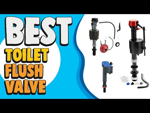 Best Toilet Flush Valve in 2021 – for Flowing Water Perfectly?