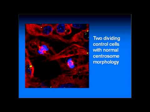 Nano VI: Paul Schulte, NIOSH