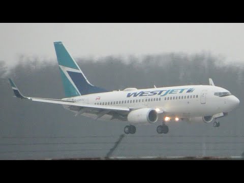 WestJet Resumes Service to YXU! | WestJet 737-700 Landing at London International Airport