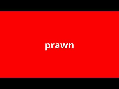 what is the meaning of prawn.
