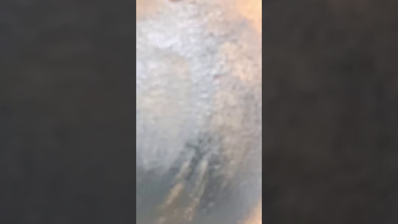 Tattoo Video | Butterfly tattoo | beat tattoo in Jaipur | Hygiene Tattoo | Saloni Tattooartist |