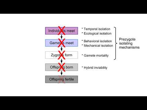 Reproductive isolating mechanisms Animation
