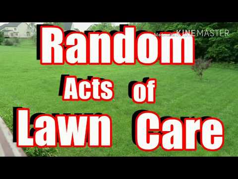 Cheap Multi-Tool Trimmer Solution! #RandomActsOfLawnCare