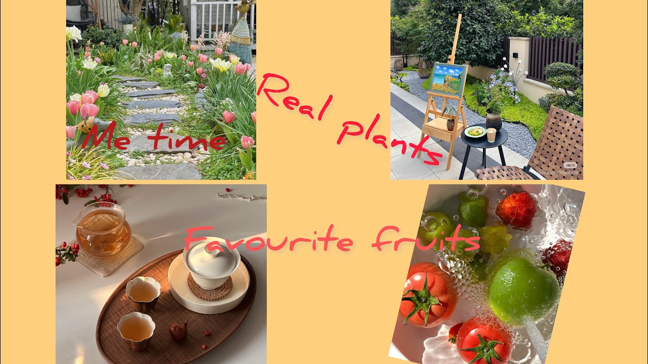 Daily vlog / Beautiful Garden view / Therapy time 