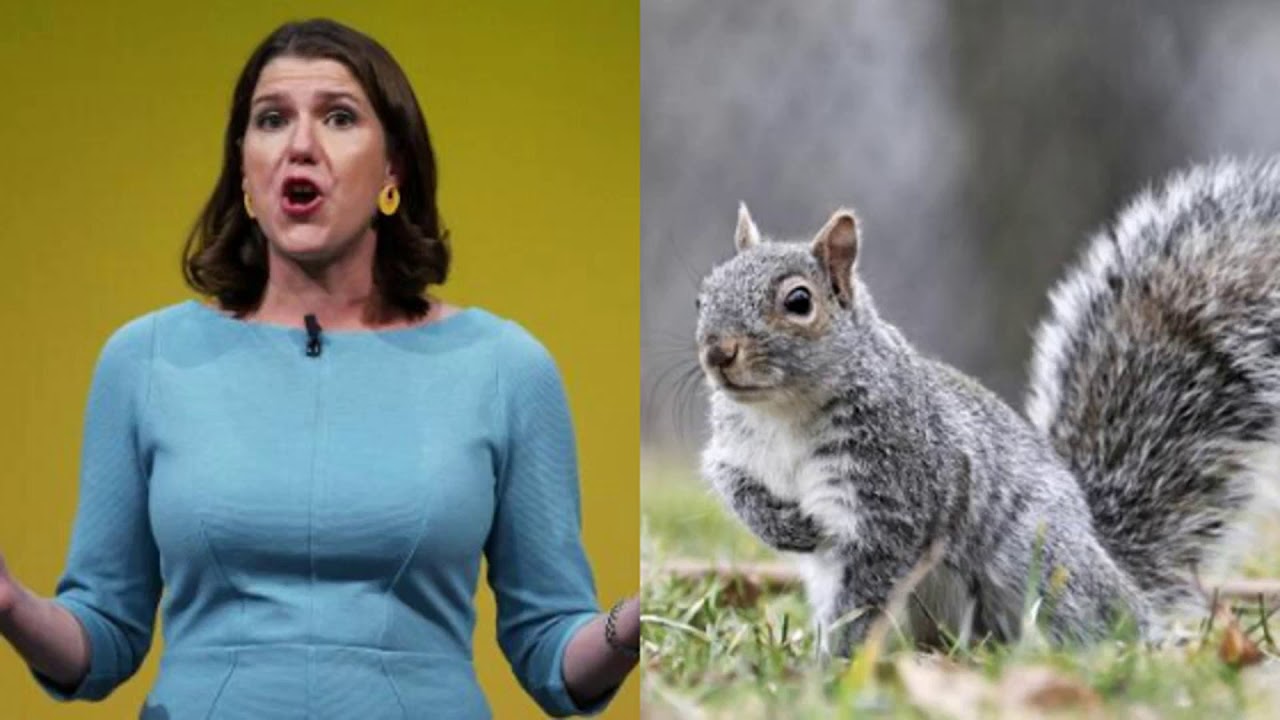 Jo Swinson warns against 'fake news' after viral squirrel abuse story