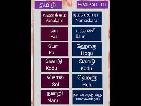 Learning Tamil to Kannada | Tamil VS Kannada Sentence | கன்னடா பேசுவது எப்படி?#shorts #shortsfeed
