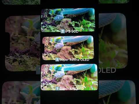 IPS LCD vs Super Retina OLED vs Super AMOLED #display #superamoled #lcd
