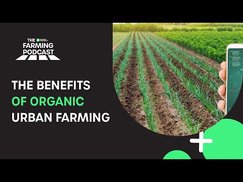 Episode 71: The benefits of organic urban farming