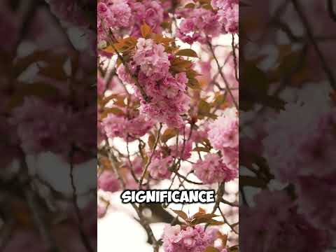 Flowers and their meanings in Japan. #japan #flowers #shorts