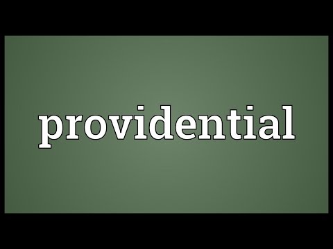 Providential Meaning