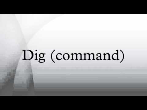 Dig (command)