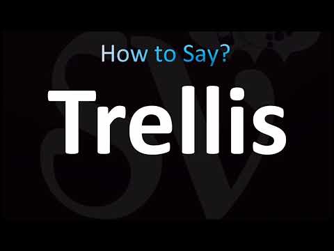 How to Pronounce ''Trellis'' (CORRECTLY!)