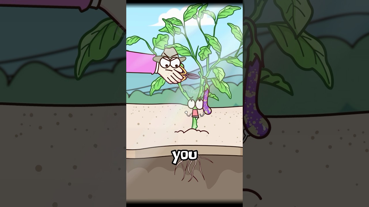 How to Deal with Unproductive Plants? Prune Them!#shorts