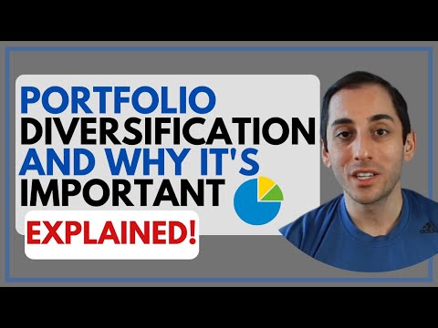 MAIN SECTORS OF PORTFOLIO DIVERSIFICATION | WHY IT'S IMPORTANT | EXPLAINED.