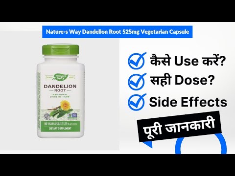 Nature's Way Dandelion Root 525mg Vegetarian Capsule Uses in Hindi | Side Effects | Dose
