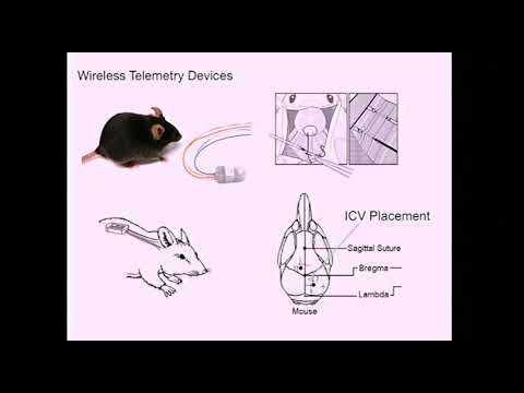 William Carlezon : "Continuous Telemetry to Enhance Animal Models of Psychiatric Illness"