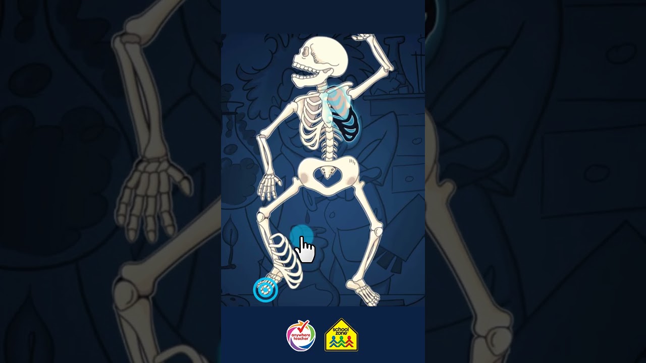 Napoleon Bone Apart on Anywhere Teacher - Fun Skeleton Matching Game #flashcards #education #science
