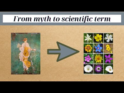 The meaning of FLORA