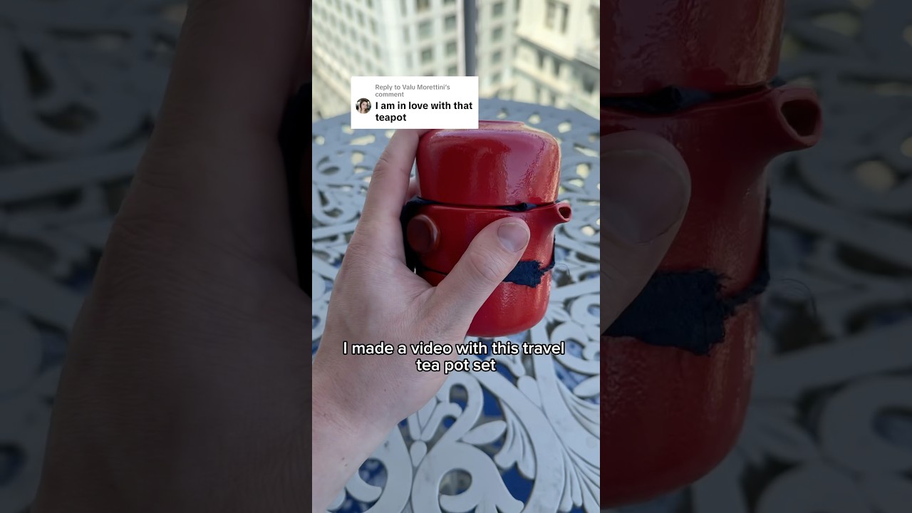 love my travel set :) #tea #travel #teapot #chinese #gongfutea #jessesteahouse #whitetea￼