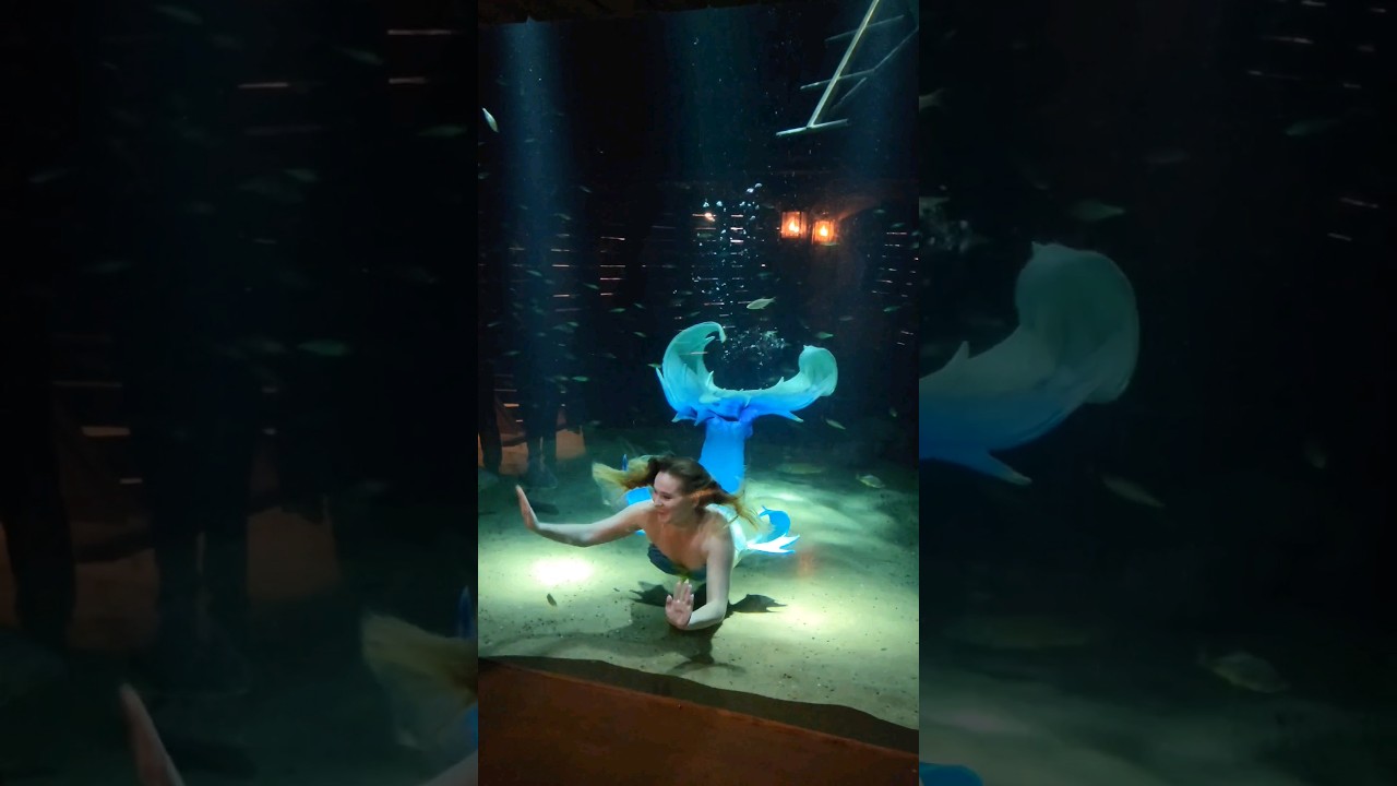 Hire Mermaid Molly Flora - Mermaid Entertainment in Brampton, ON | GigSalad