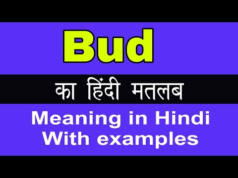 Bud Meaning in Hindi/Bud ka Matlab kya Hota hai