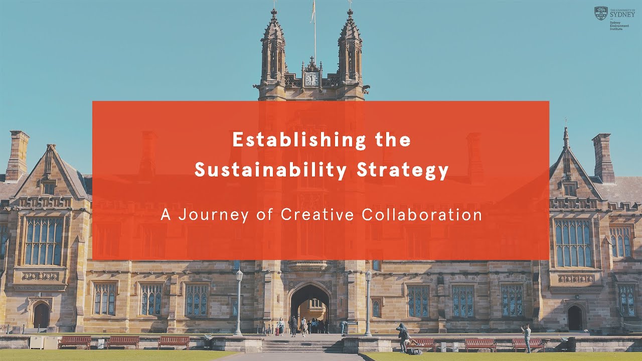 Establishing the Sustainability Strategy: A Journey of Creative Collaboration