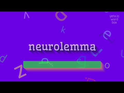 How to say "neurolemma"! (High Quality Voices)